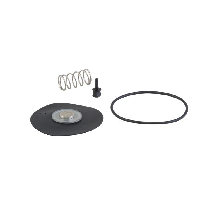 DIAPHRAGM REPAIR KIT