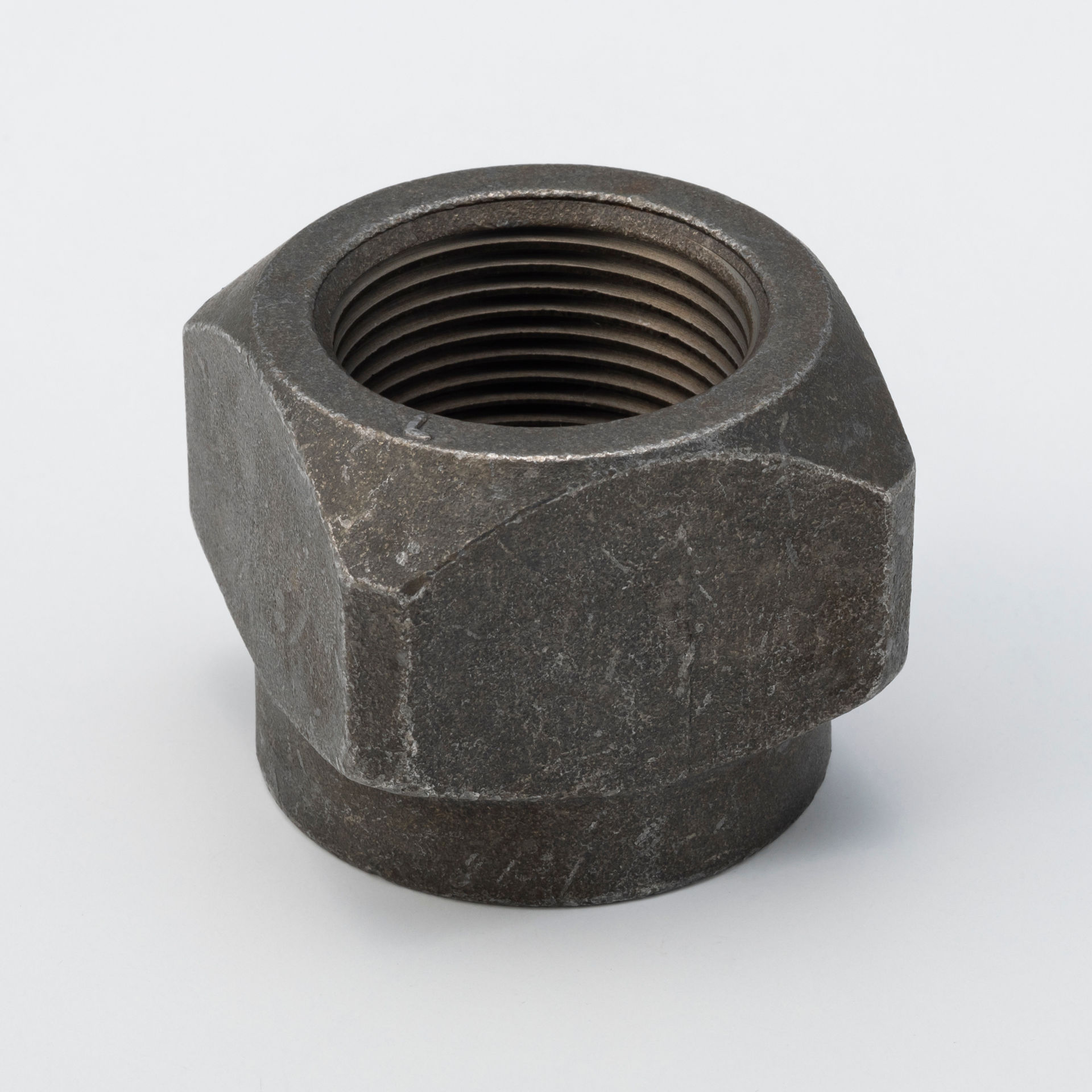 TRACK SHOE NUT