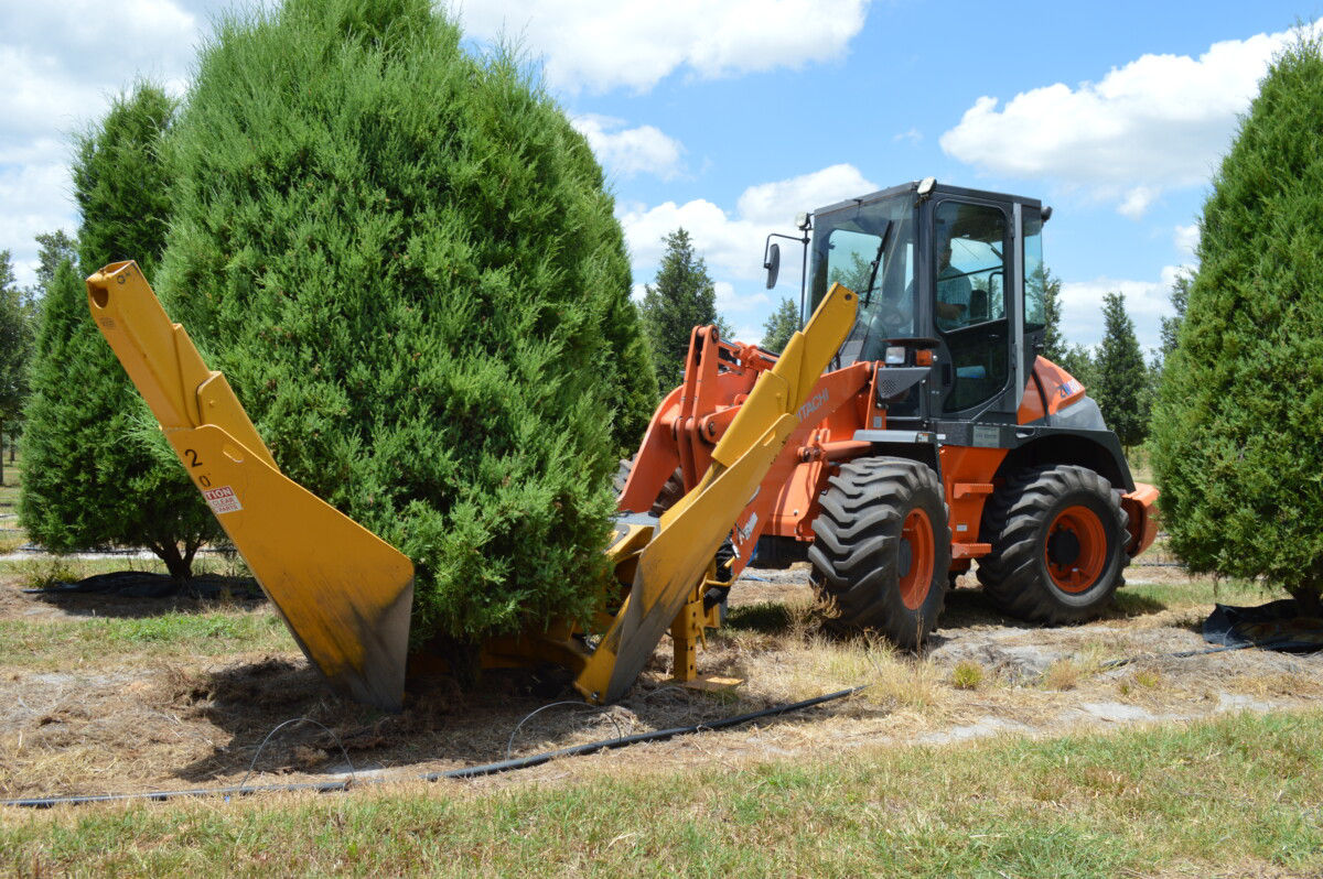 Family Tree - Hitachi Construction Machinery Americas